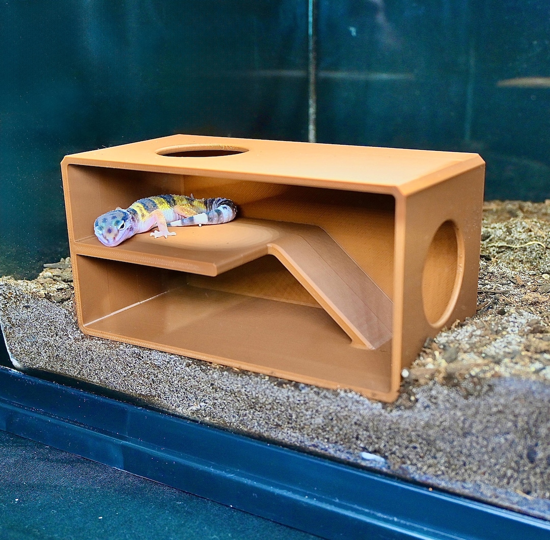 Reptile Amphibian Cave Against Glass Viewing Hide Enclosure Decor ...
