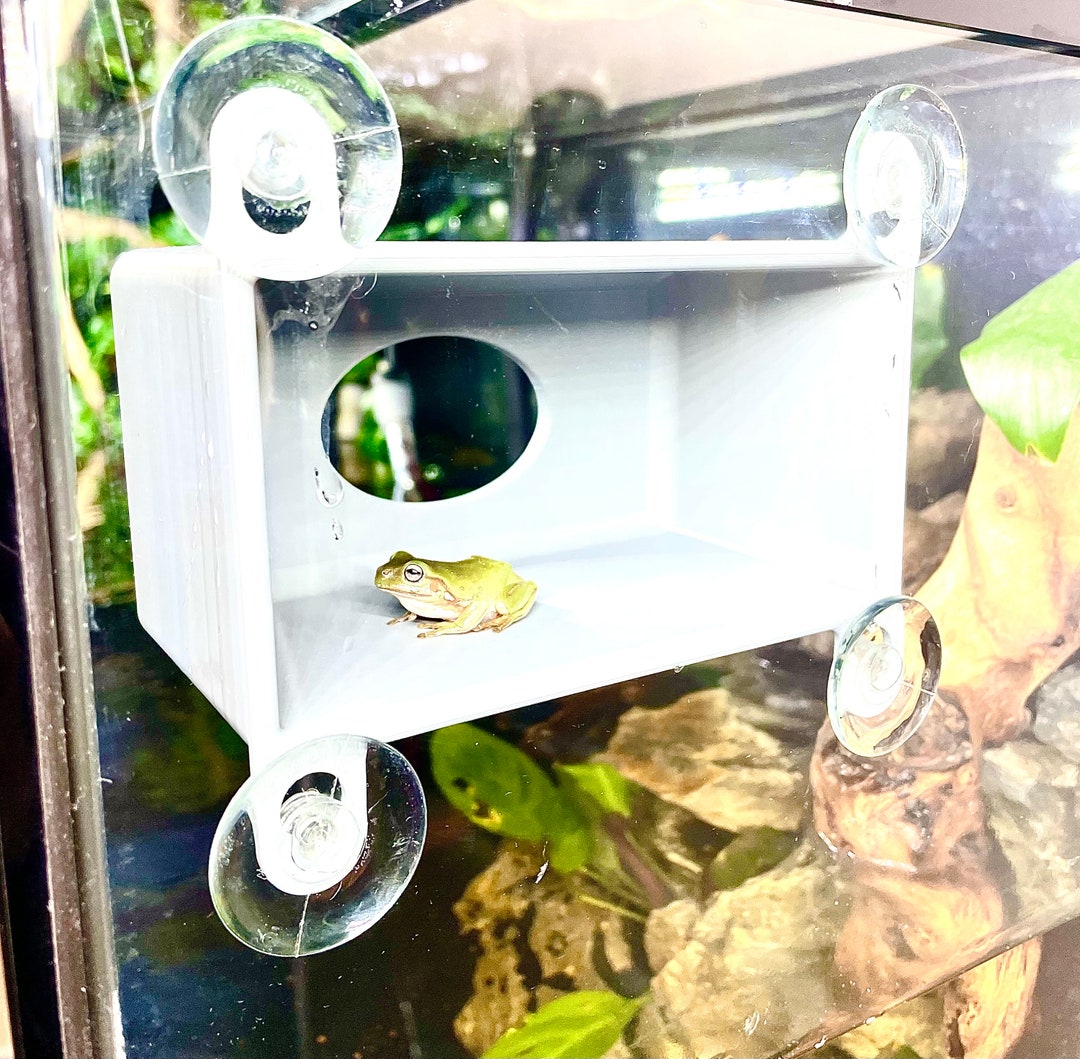 Gecko Frog Cave Wall Decor Amphibian Reptile Tank Enrichment Decoration ...