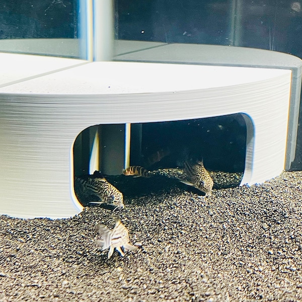 Corner Cave for Fish Tank - Etsy