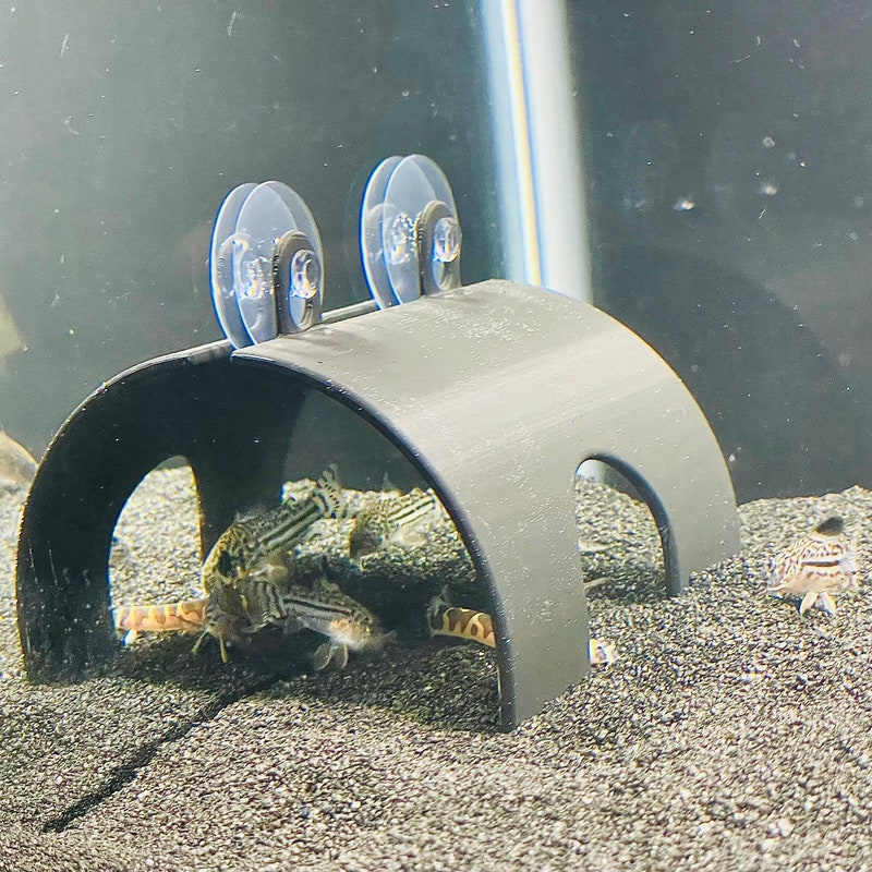 Aquarium Cave - Etsy