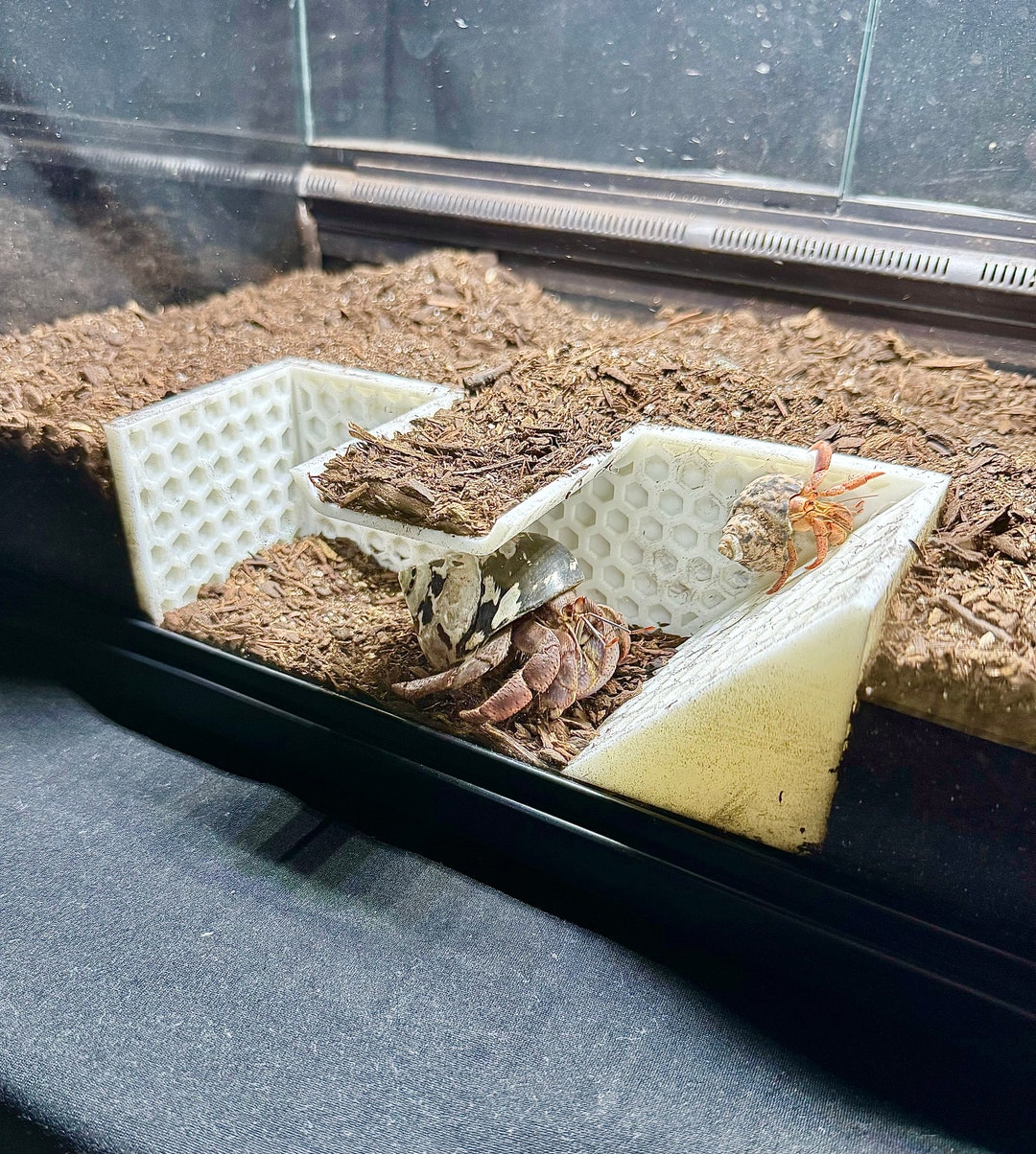 Hermit Crab Tank Decor Underground Climbing Tunnel Hermit Crab Hide ...