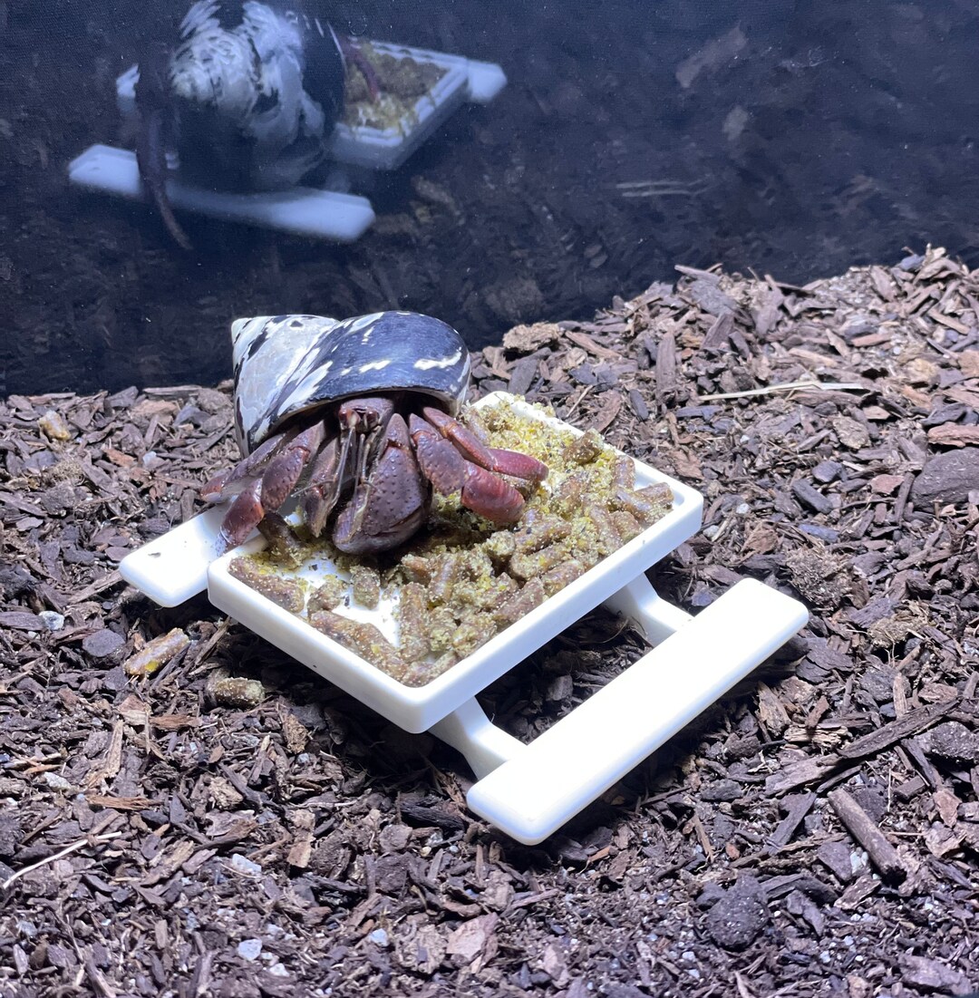 Hermit Crab Food Dish Picnic Table, Hermit Crab Decoration, Hermit Crab ...