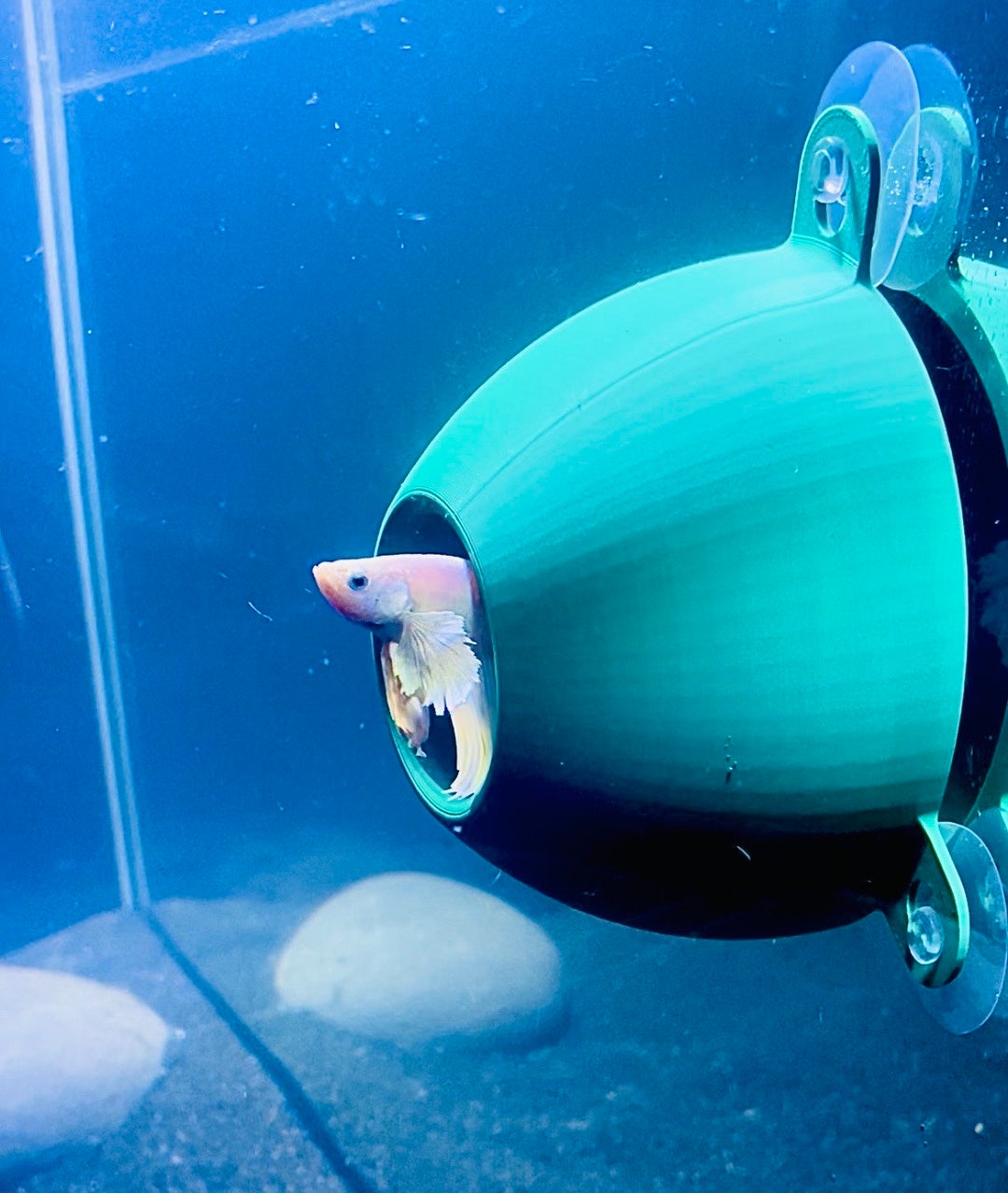 Betta Rest Suction Cup Ball Hide, Toy Cave for Betta Fish, Aquarium ...