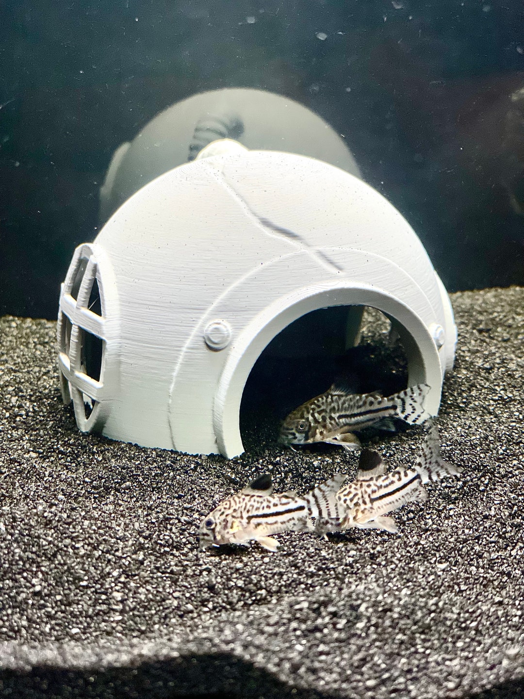 Aquarium Cave Sunken Scuba Helmet, Kuhli Loach Dojo Loach Corydoras ...