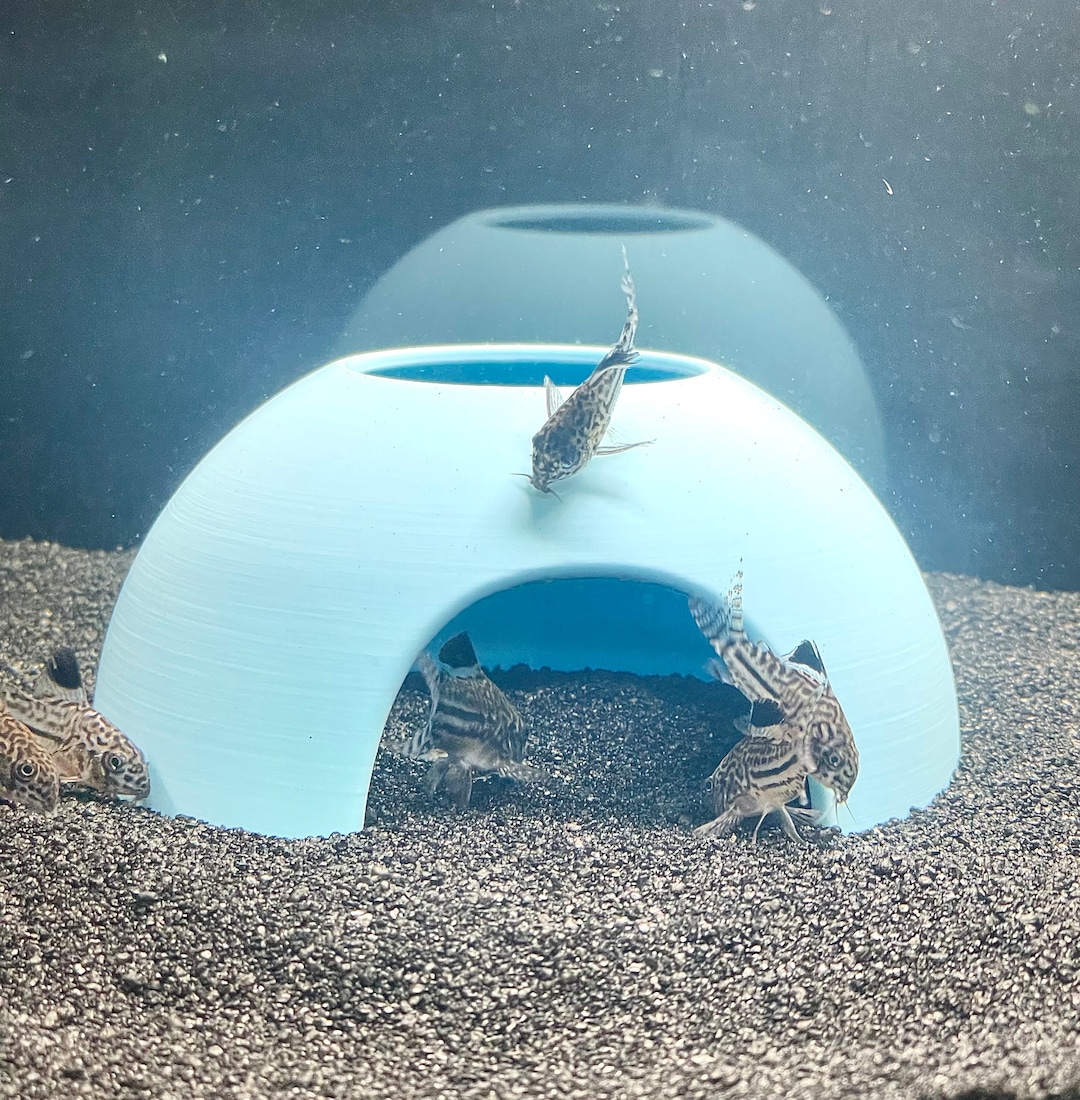 Aquarium Cave Dome, Kuhli Loach Dojo Loach Corydoras Catfish Clown ...