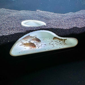 Bottom Dweller Underground Slope Cave Aquarium Aquascape Hideout Cave ...