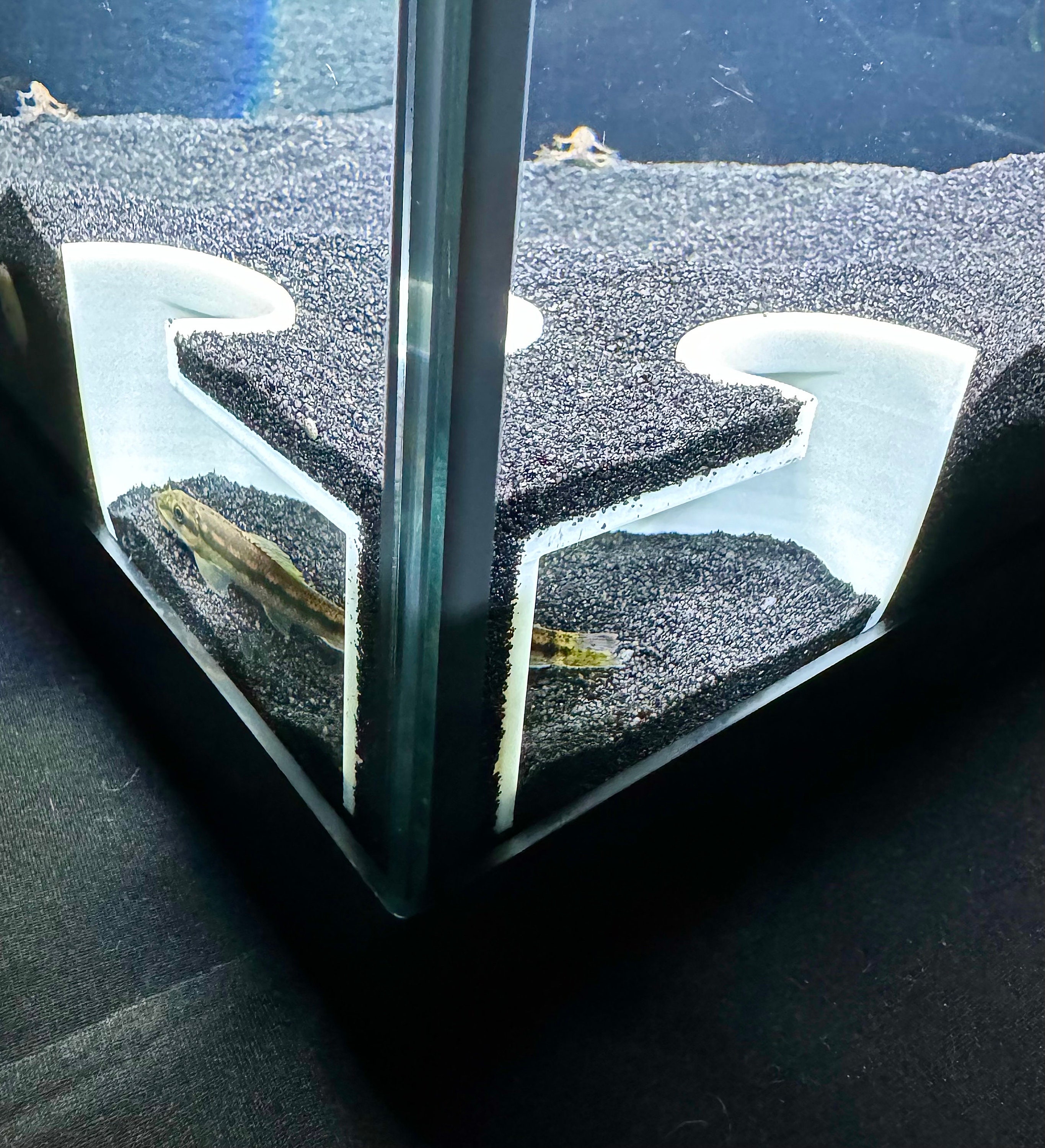 Aquarium Decor Corner Double Hole Cave Underground Viewing Hide Kuhli ...