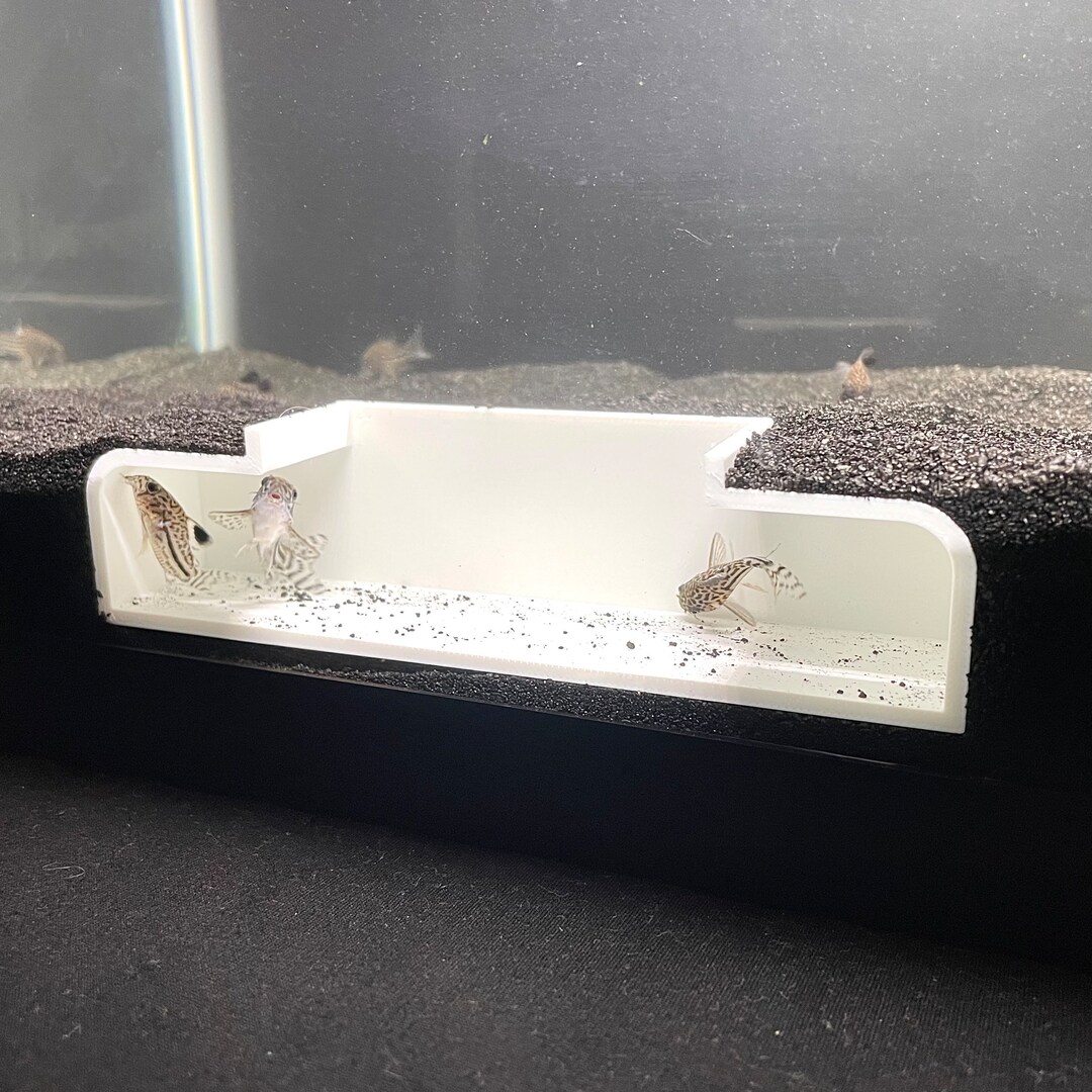 Aquarium Underground Cave Middle Entrance, Kuhli Loach Dojo Loach Clown ...