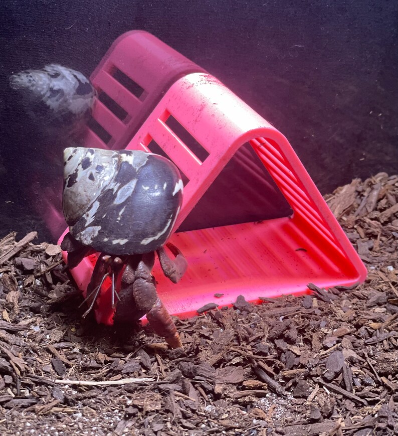 Hermit Crab Climbing Triangle Hermit Crab Tank Decor Decorations ...