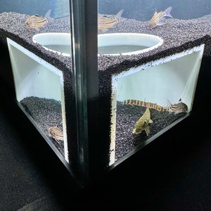 Aquarium Corner Hole Cave Underground Viewing Hide Kuhli Loach Dojo ...