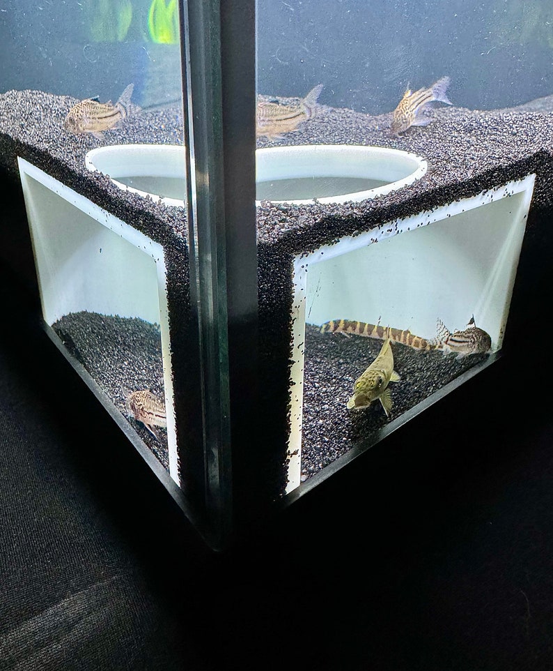 Aquarium Corner Hole Cave Underground Viewing Hide Kuhli Loach Dojo ...