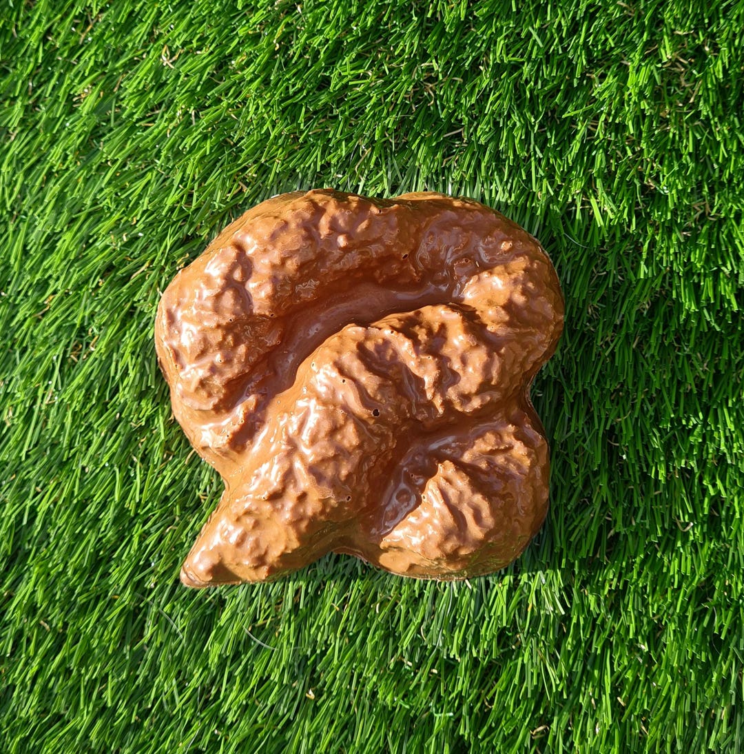 Chocolate Praline Poo, Chocolate Gift, Unique Gift, Gift for Him, Gift ...