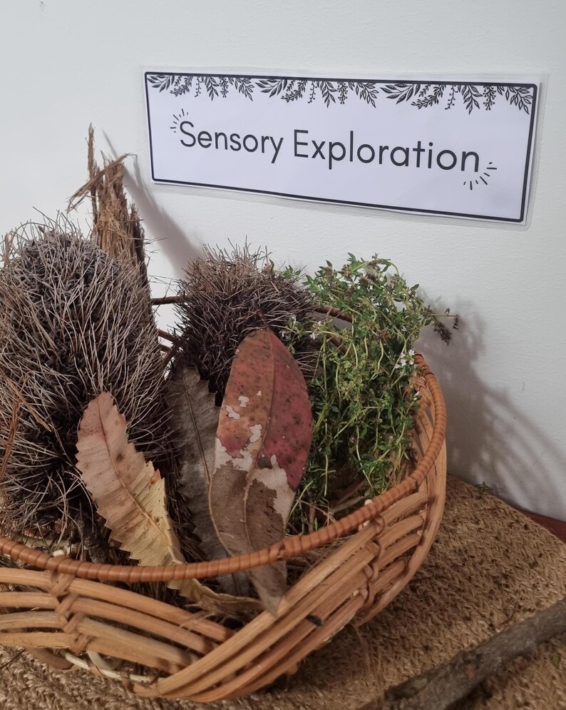 Botanical Play Area Labels: Early Childhood Printable (PDF) EYLF ...