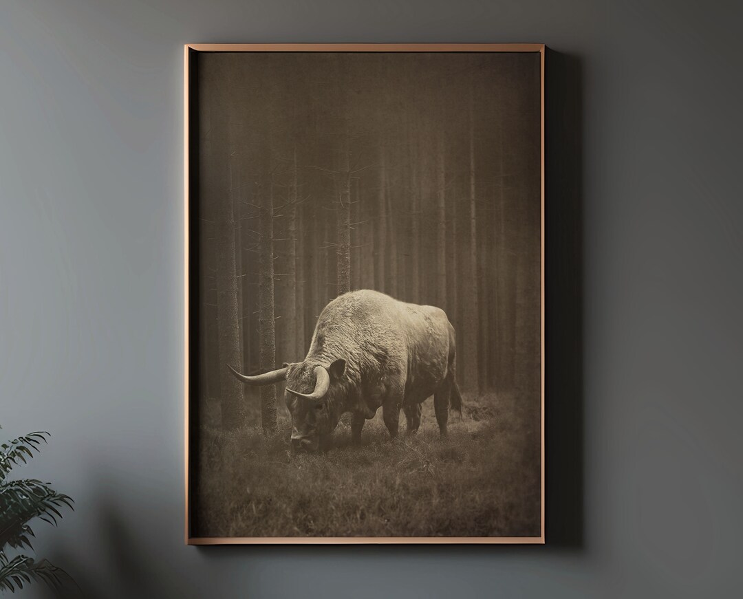 Moody Bull in Forest Print: Americana Wall Art - Etsy