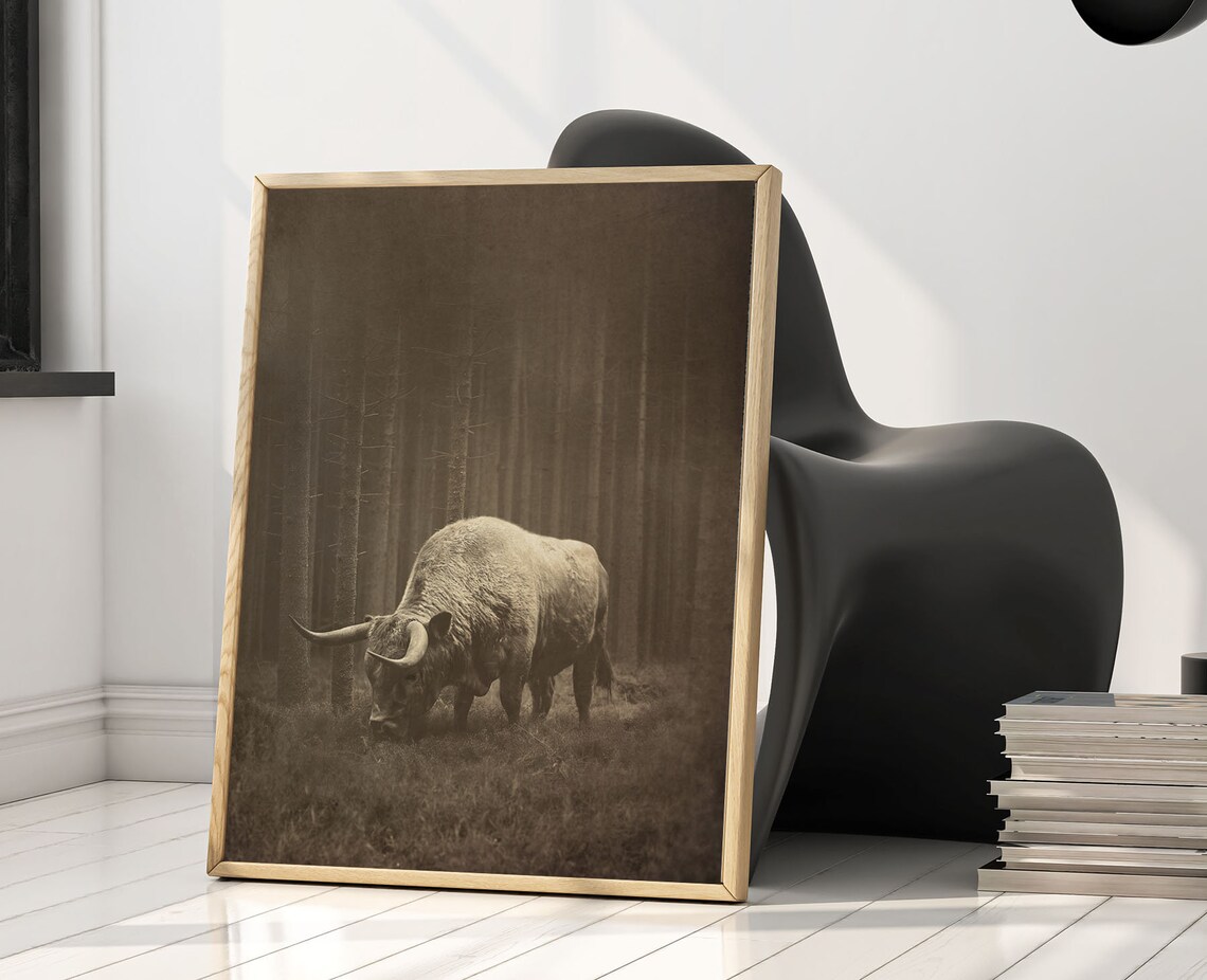 Moody Bull in Forest Print: Americana Wall Art - Etsy