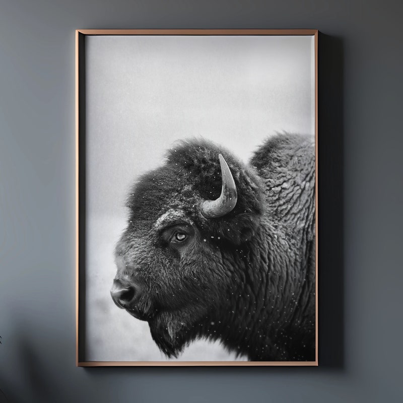 Buffalo Poster - Etsy