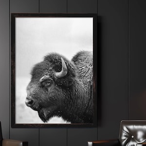 Bison Print Farmhouse Decor Bison Wall Art Bison Poster Woodland Animal ...