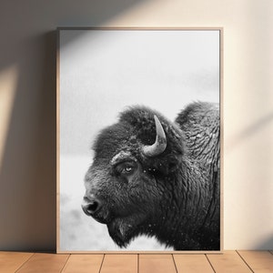Bison Print Farmhouse Decor Bison Wall Art Bison Poster Woodland Animal ...