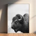 Bison Print Farmhouse Decor Bison Wall Art Bison Poster Woodland Animal ...
