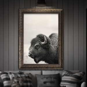 Bison Print Farmhouse Decor Bison Wall Art Bison Poster Woodland Animal ...