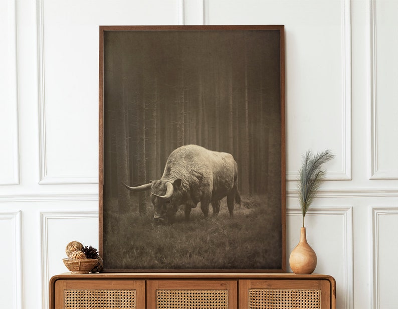 Moody Bull in Forest Print: Americana Wall Art - Etsy