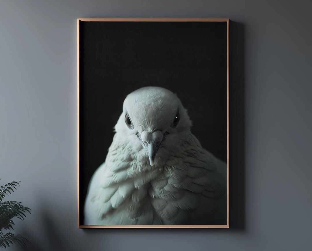 Dove Wall Art Print, Bird Wall Art, Dove Poster Art, Modern Farmhouse ...