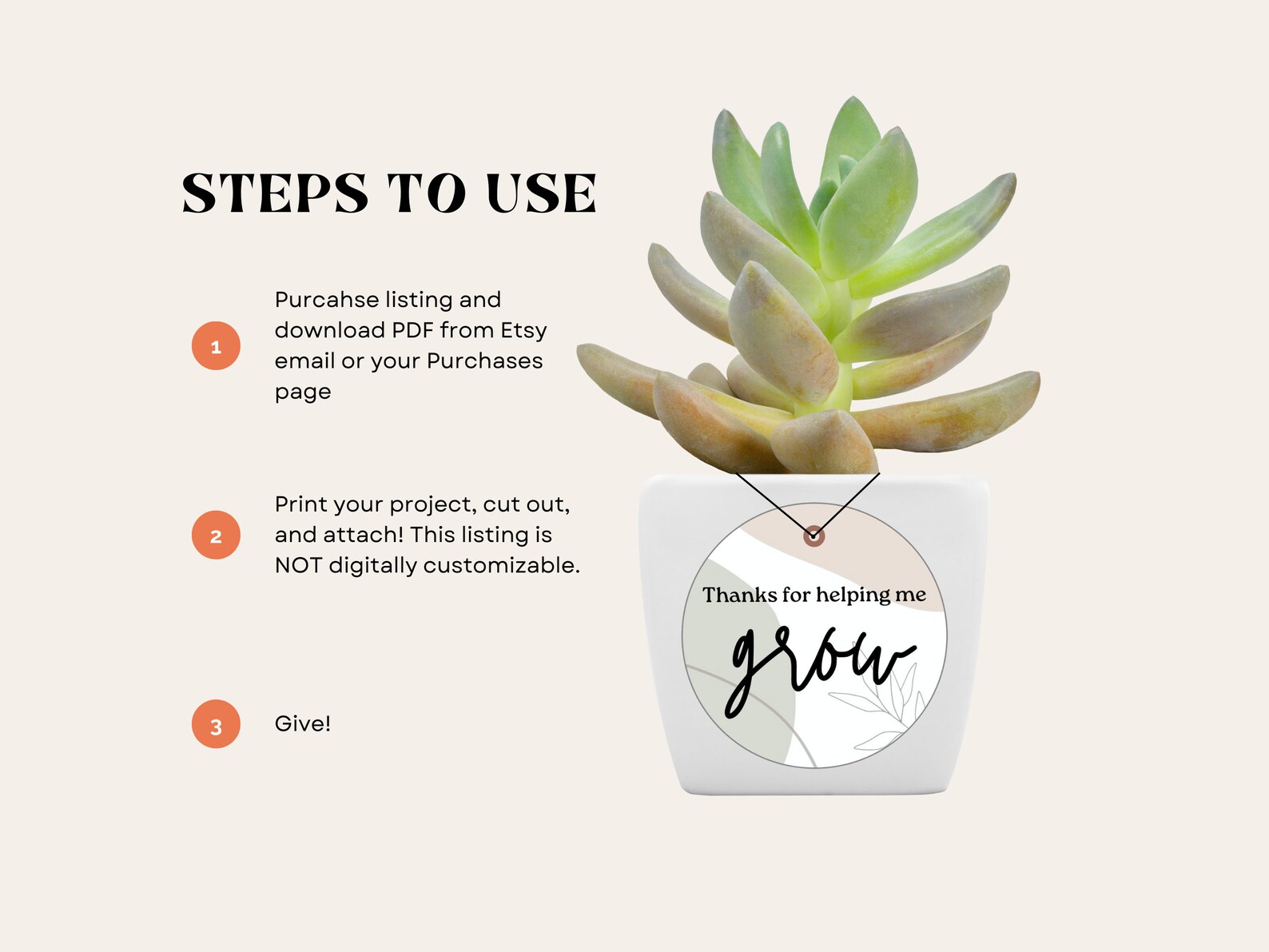 Teacher Appreciation Day Gift Idea, Teacher Plant Gift Tag, Daycare ...