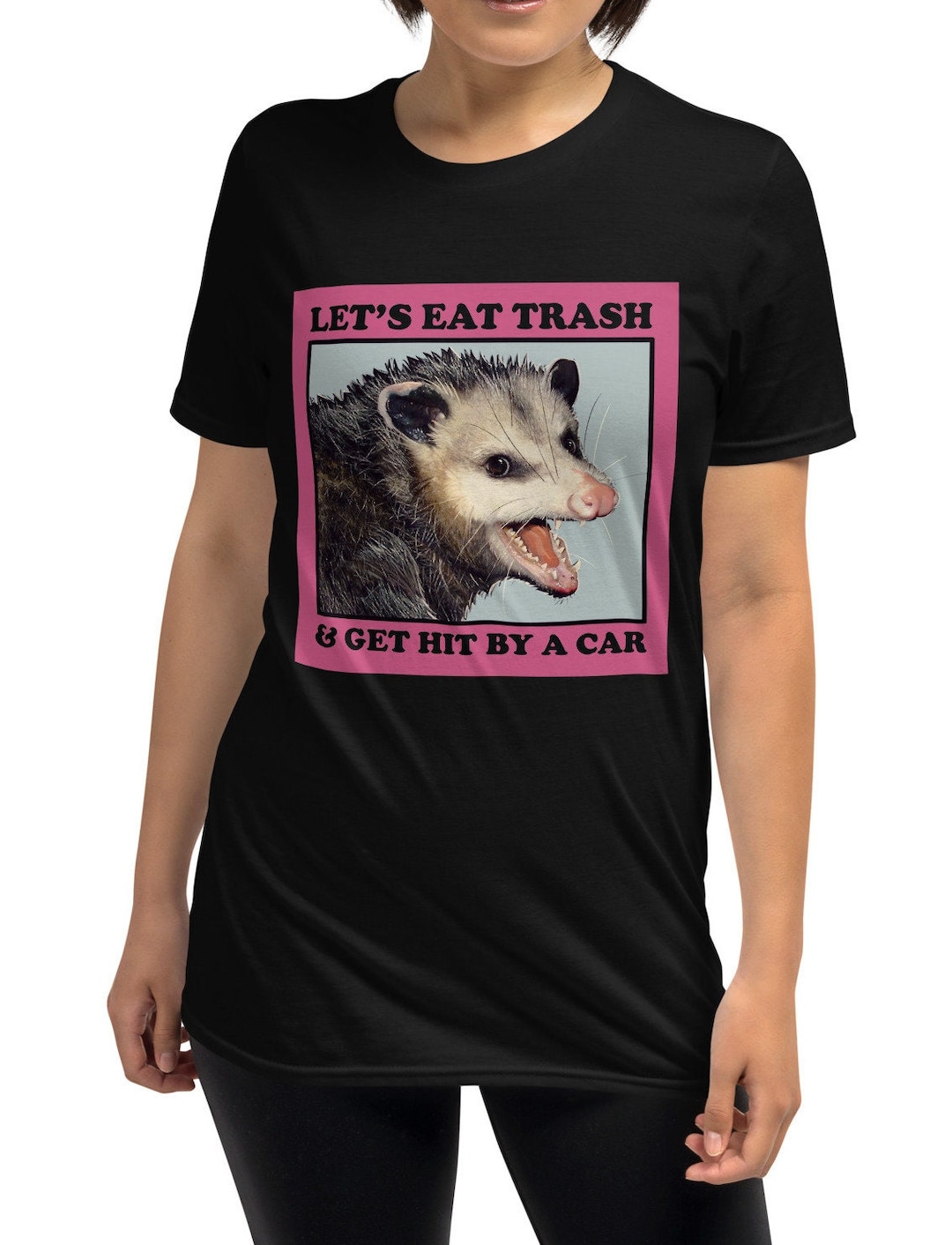 Let's Eat Trash and Get Hit by a Car Funny Possum for Opossum Memes ...