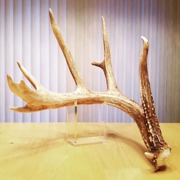 Antler Decor Flowers - Etsy