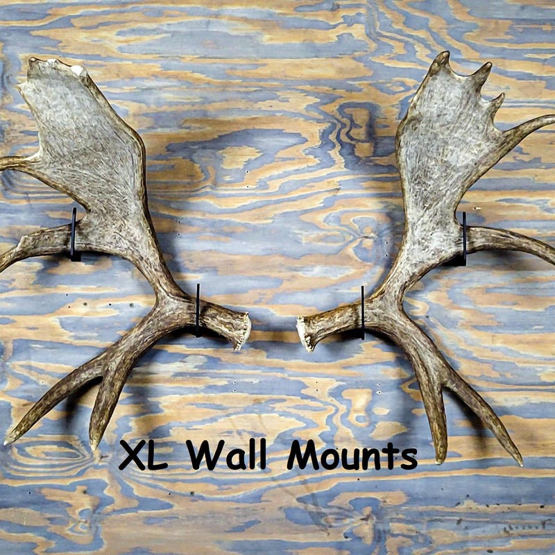 Hanging Antler Display - Etsy