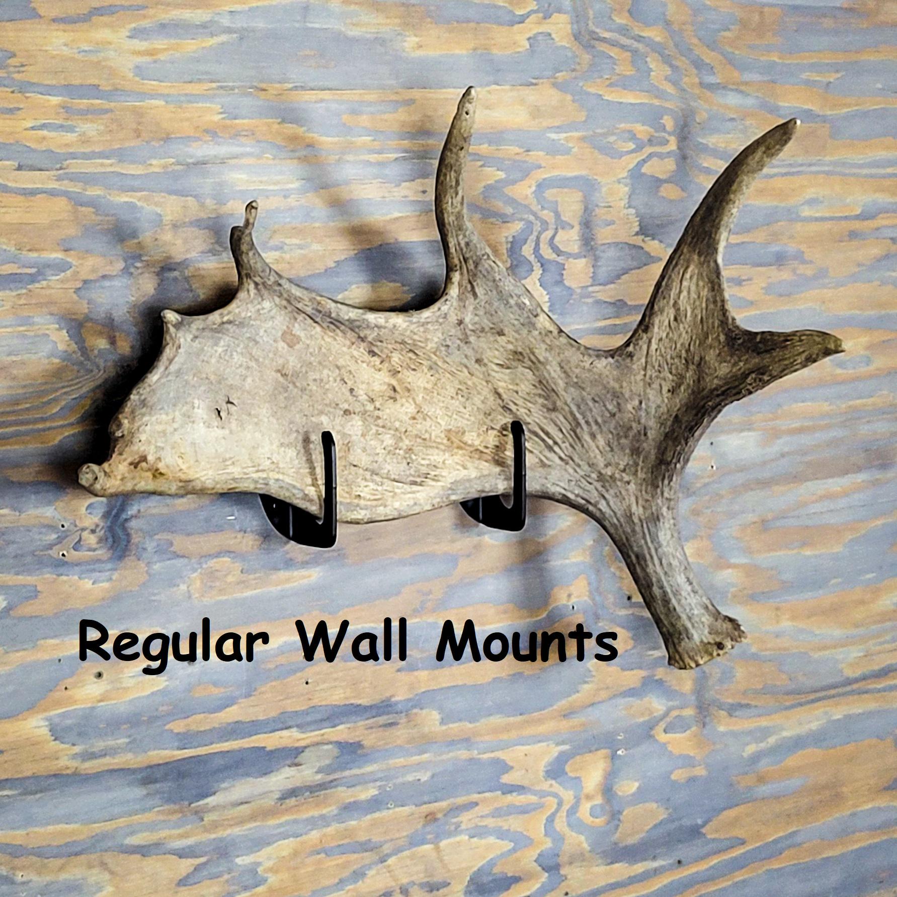 Metal Moose Shed Antler Wall Mount Display. Antler Not Included - Etsy
