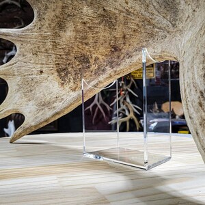 JUMBO Invisible Shed Antler Stand - Large Moose Display - Etsy