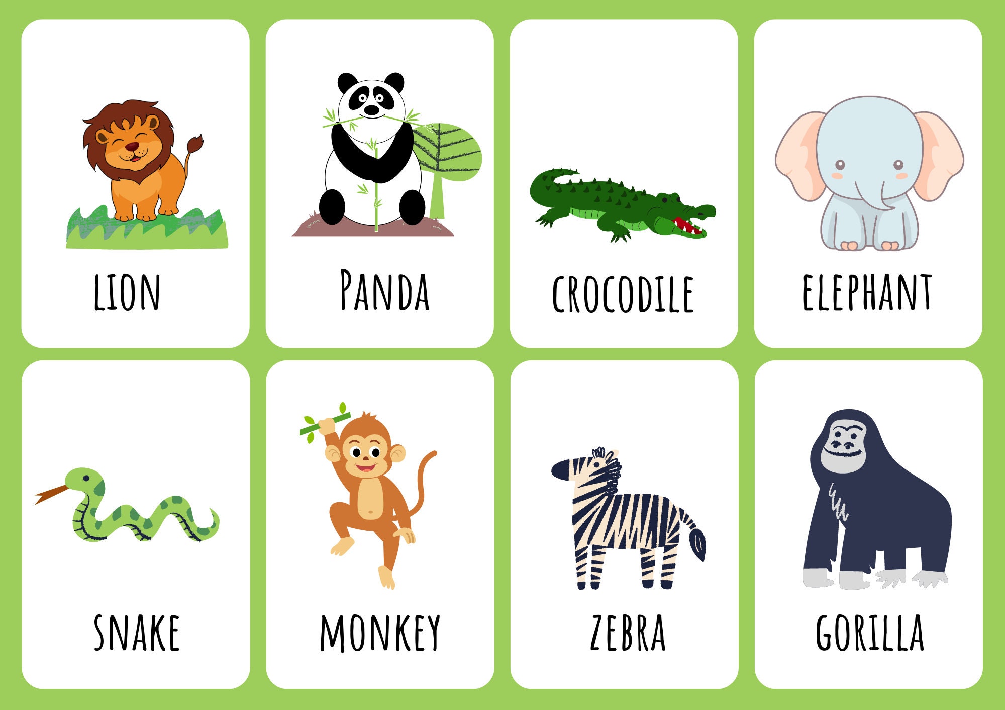 16 Zoo-tastic Kindergarten Flashcards: Vibrant Illustrated Animals - Etsy