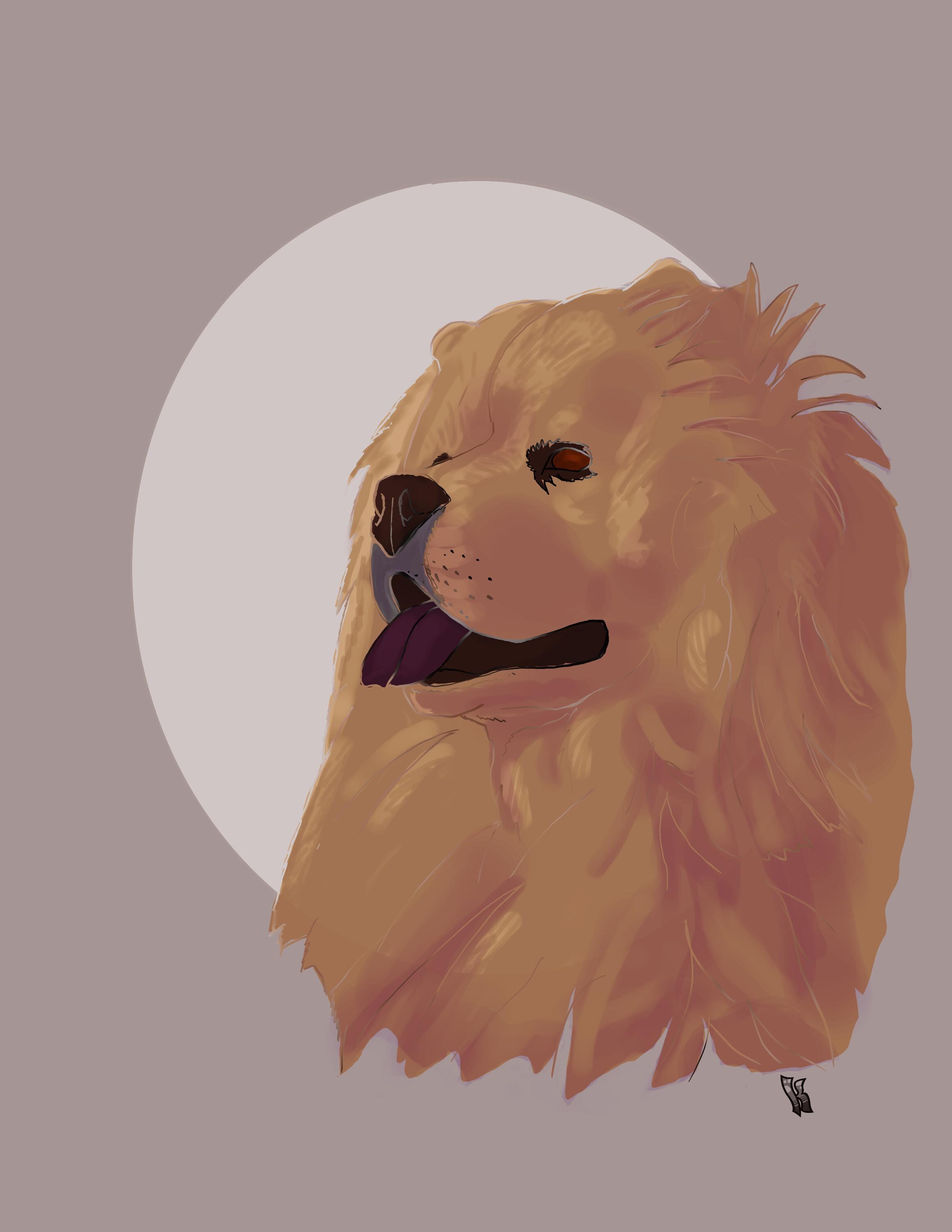 Digital\cartoon Style Pet Portraits - Etsy