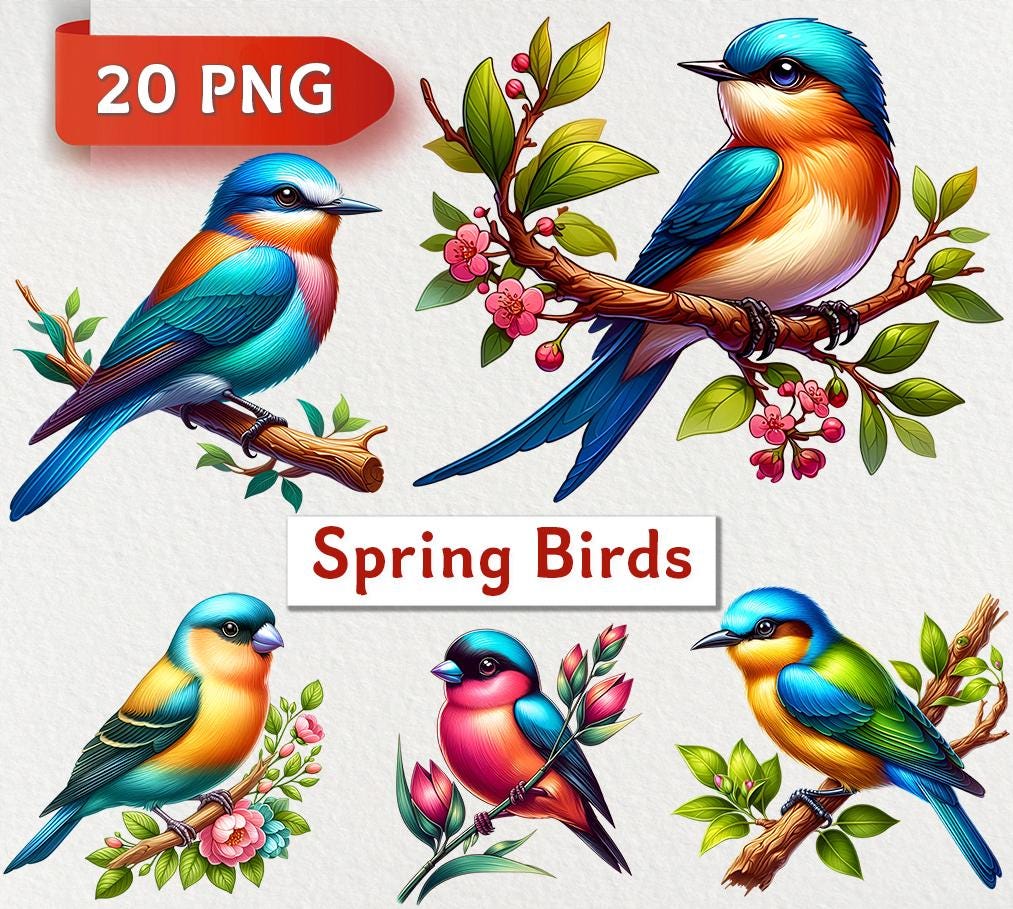 20 PNG, Floral Birds Clipart, Watercolor Spring Birds, Blossom Bird Art ...