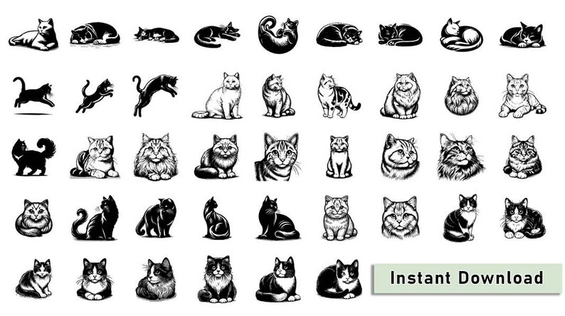 Paquete de 150 SVG de gatos, razas de gatos, imágenes prediseñadas de ...