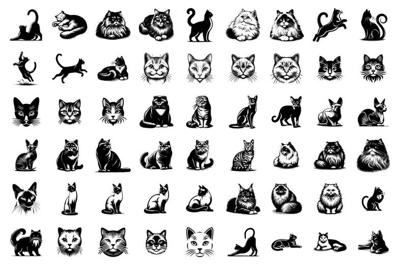 Paquete de 150 SVG de gatos, razas de gatos, imágenes prediseñadas de ...