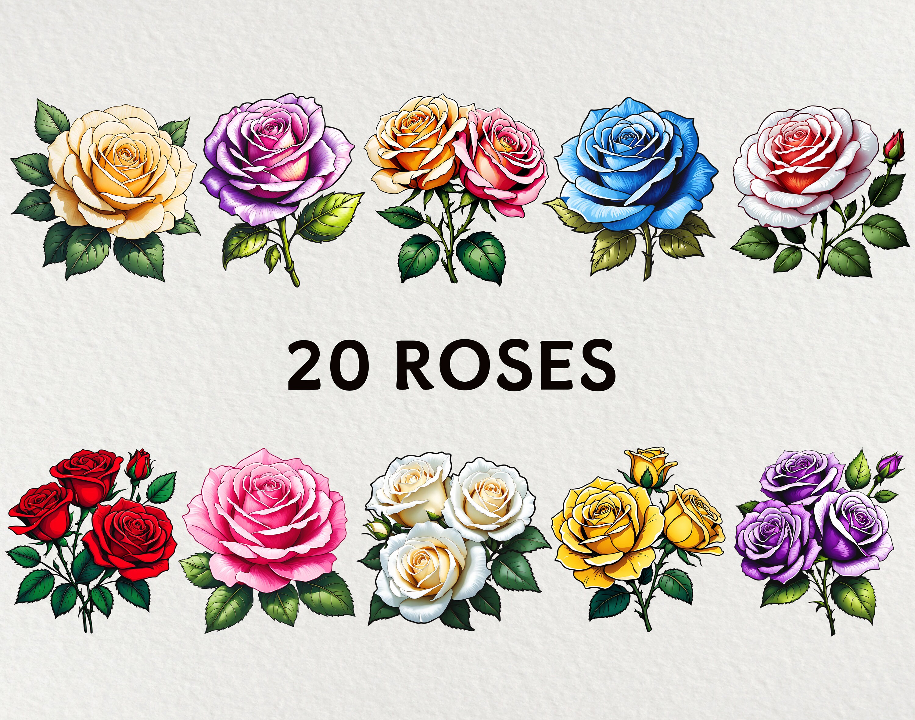 20 Clipart of Roses in Different Colors in PNG Files, Digital ...