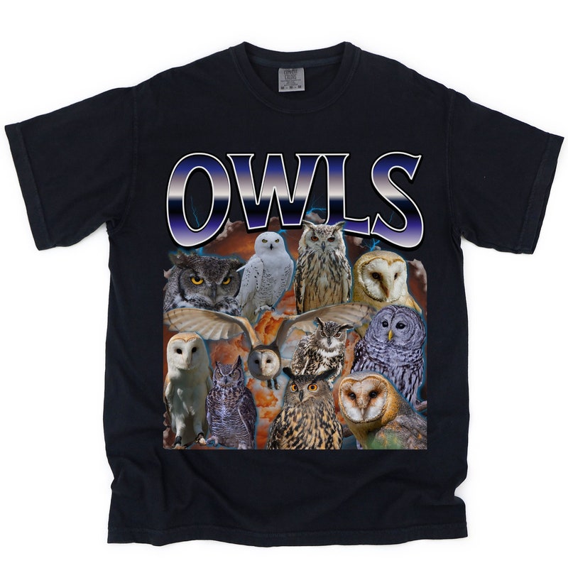 Owl T Shirt - Etsy