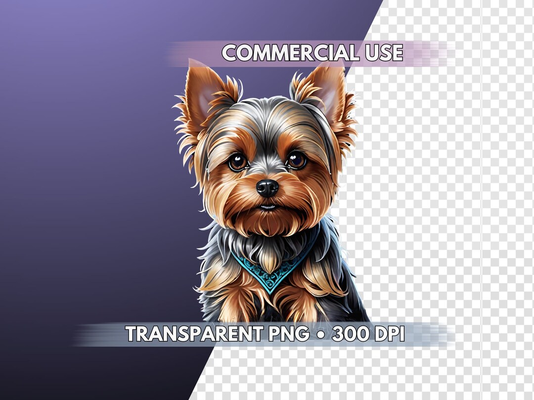 PA78 Yorkie Dog Portrait PNG Digital Download Commercial Use Printable ...