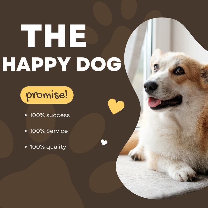 5 Tips for a Happy and Healthy Dog: a Guide to Proper Care of Your Best ...