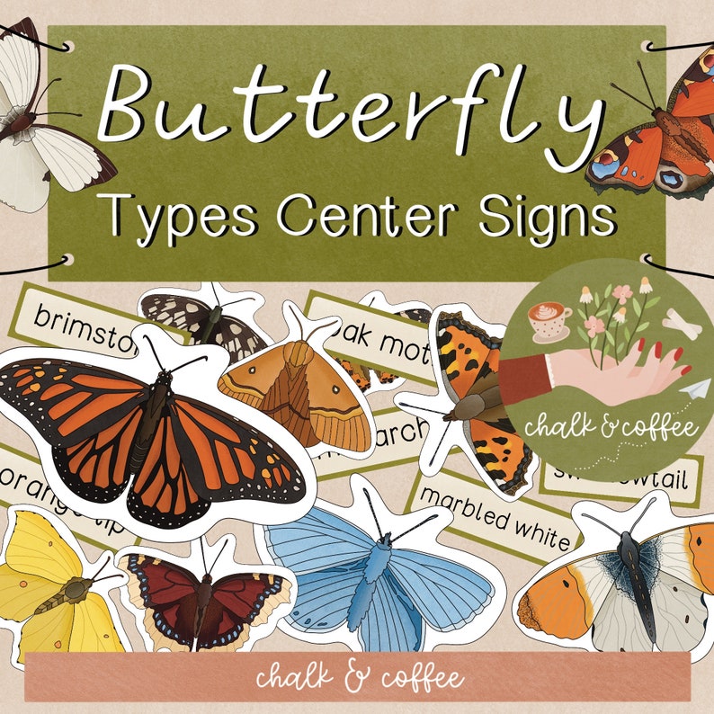 Butterfly Center Signs Types of Butterflies Science Insects Vocabulary ...