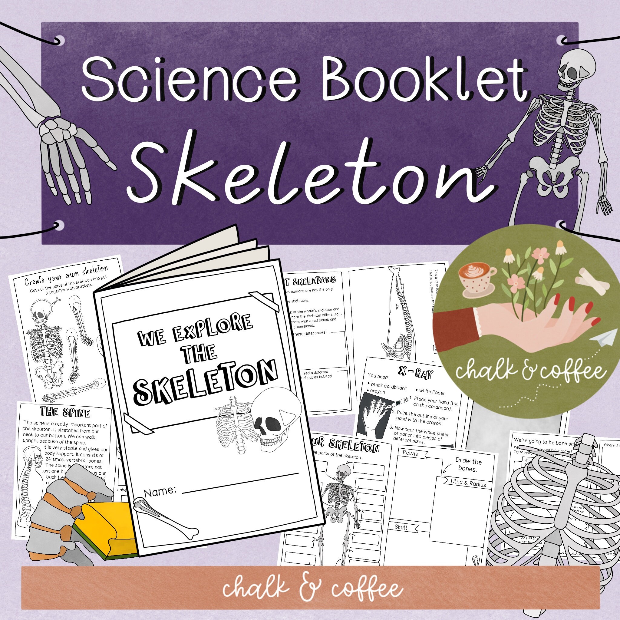 Skeleton Booklet Science Unit - Self Study Human Body Resource, Spine ...