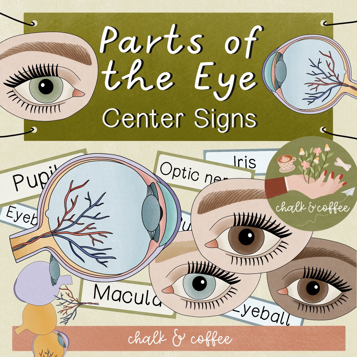 Parts of the Eye Center Signs - Human Body Study Puzzle and Flash Cards ...