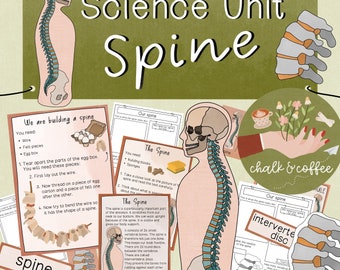 Skeleton Science Unit Worksheets, Experiments, Crafts Human Body ...