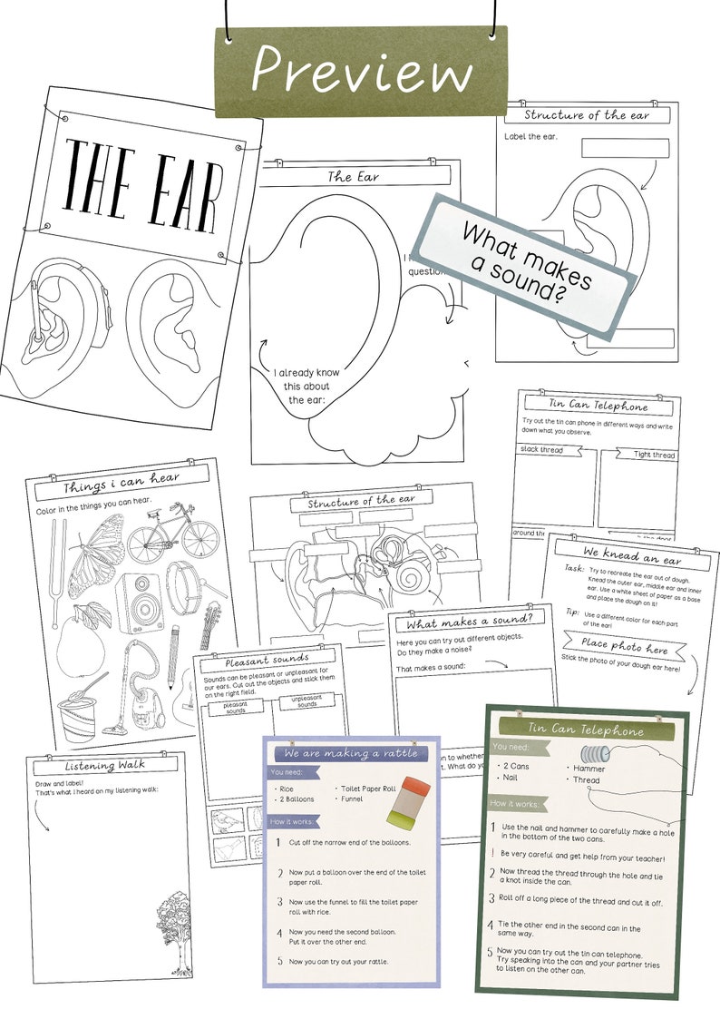 Ear Science Unit PRINTABLE Worksheets Experiments Hearing Senses Human ...