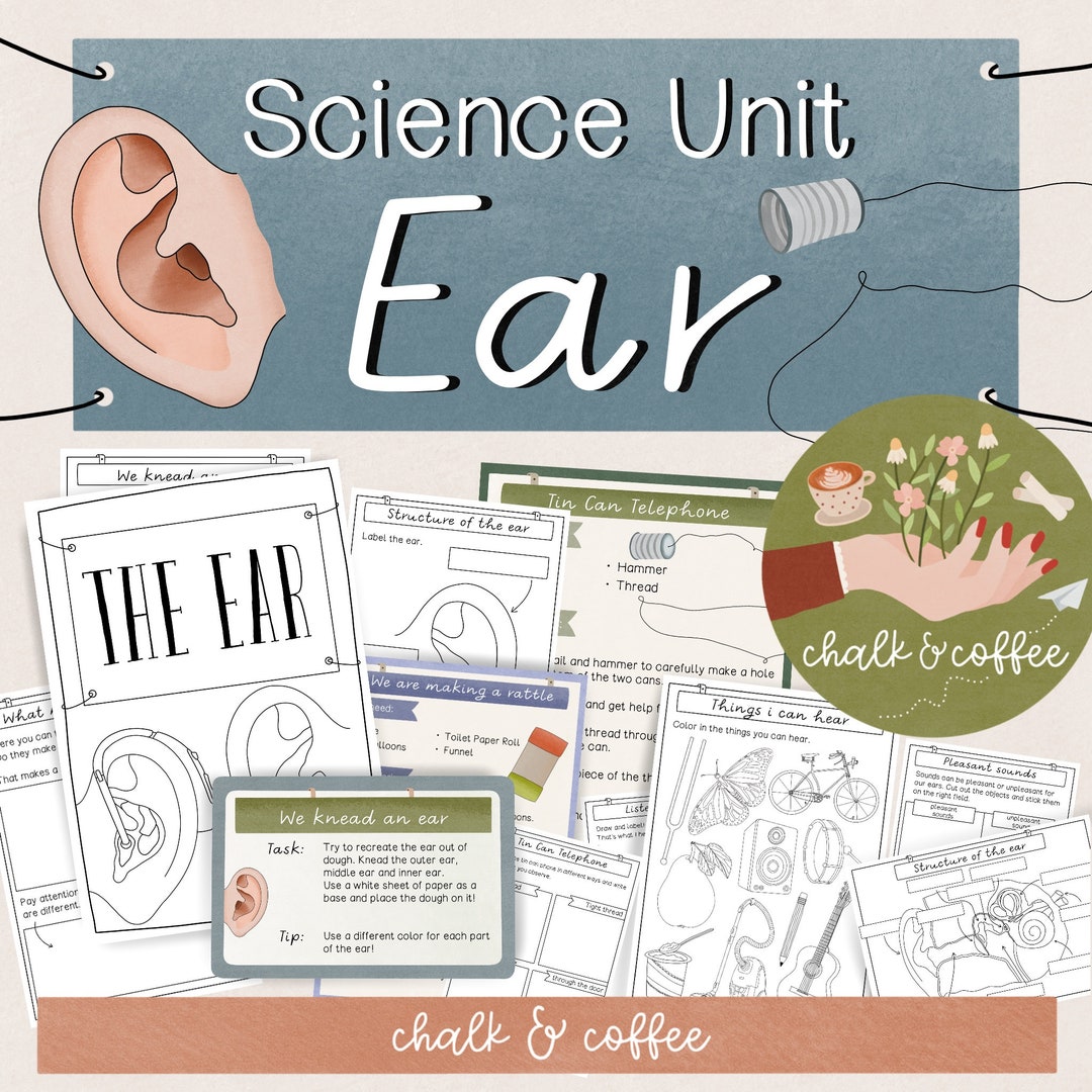 Ear Science Unit PRINTABLE Worksheets Experiments Hearing Senses Human ...