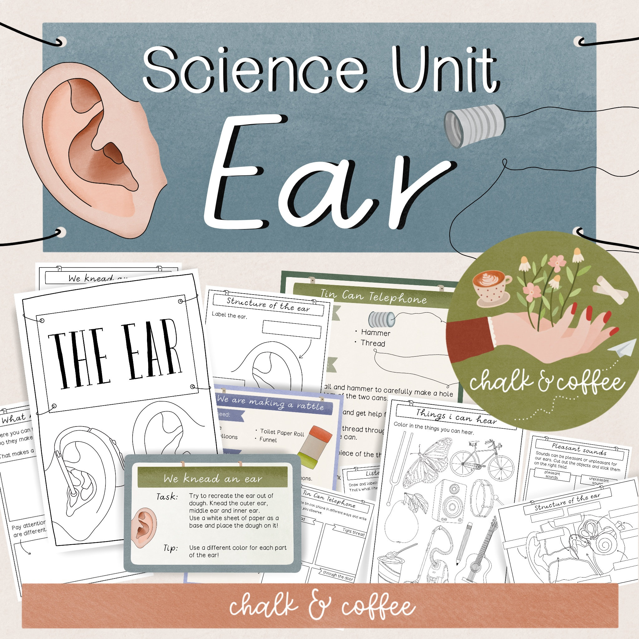 Ear Science Unit PRINTABLE Worksheets Experiments Hearing Senses Human ...