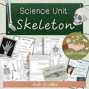 Skeleton Science Unit Worksheets, Experiments, Crafts Human Body ...