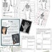 Skeleton Science Unit Worksheets, Experiments, Crafts Human Body ...